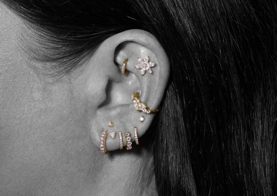 Wildlike | Piercing Reimagined
