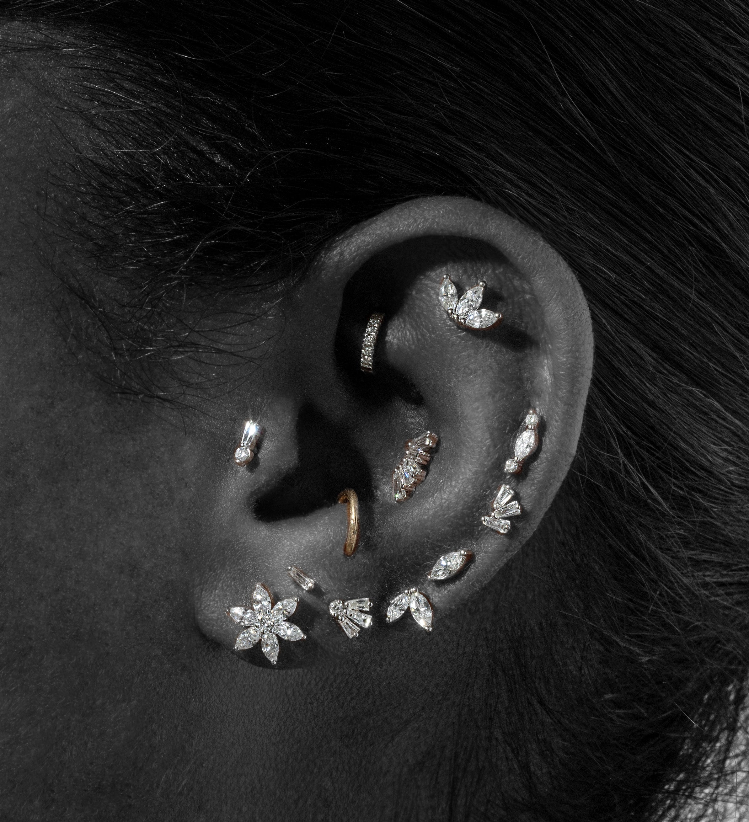 Wildlike | Piercing Reimagined