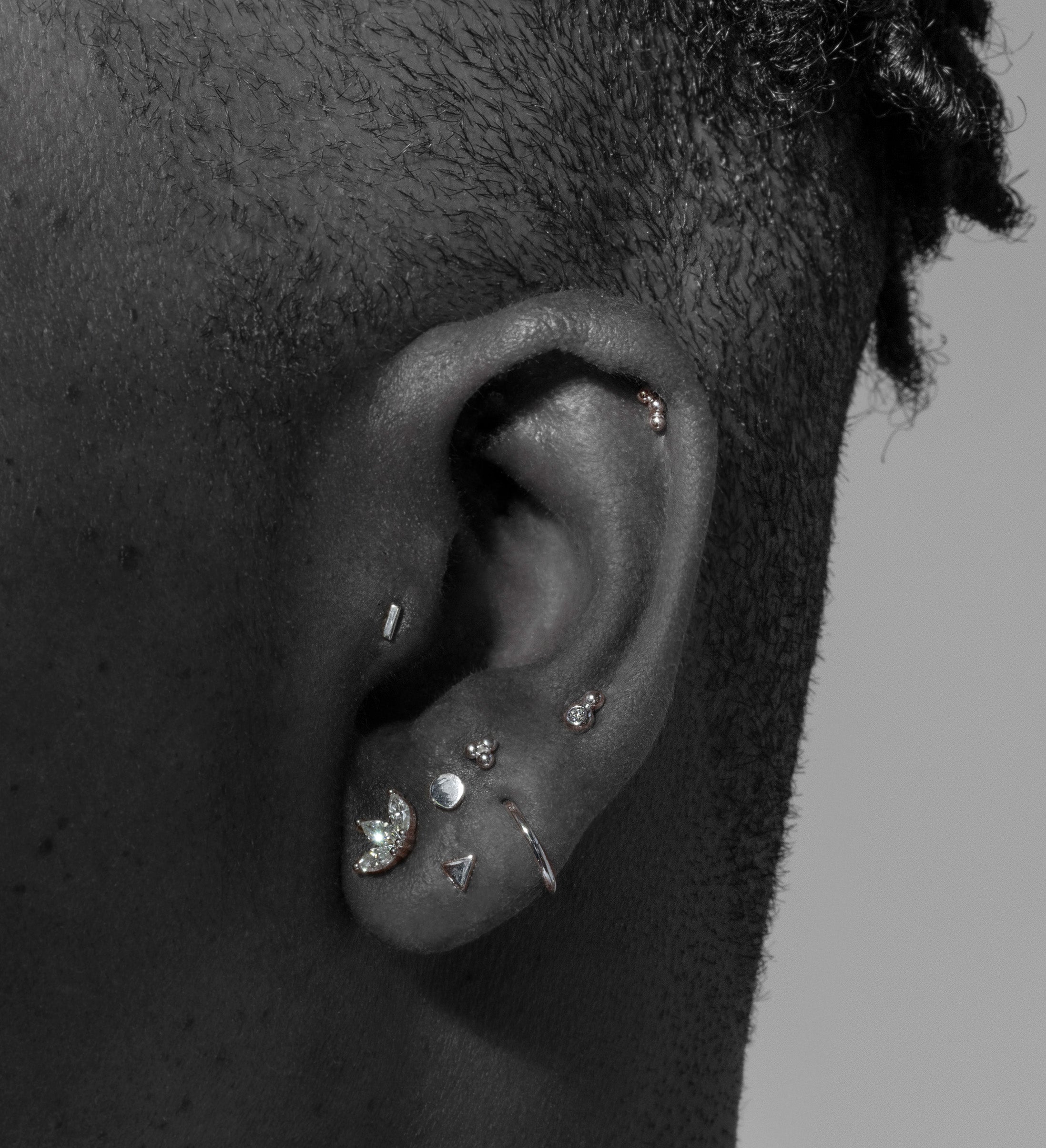 Wildlike | Piercing Reimagined